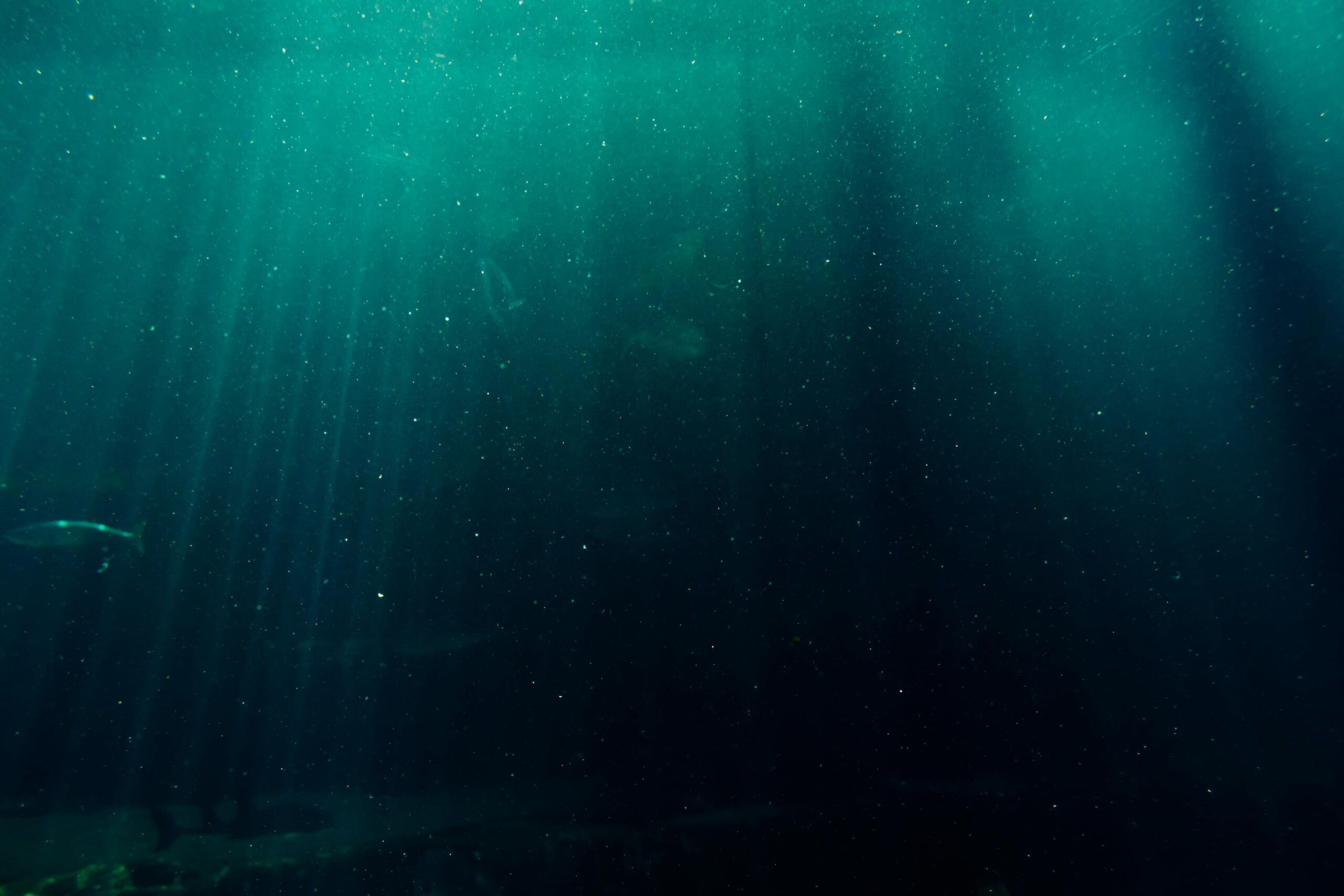 Subsea Communication with Light: Advancing Optical Systems for ...